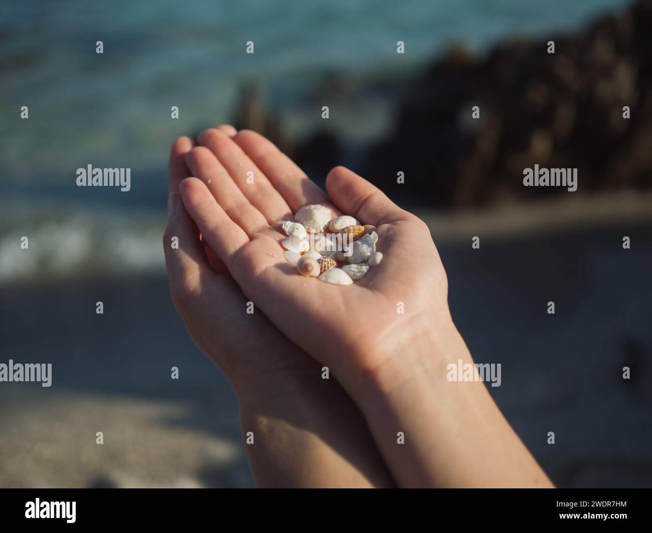 Horizontal close up of sunlit female hands holding beautiful delicate ...