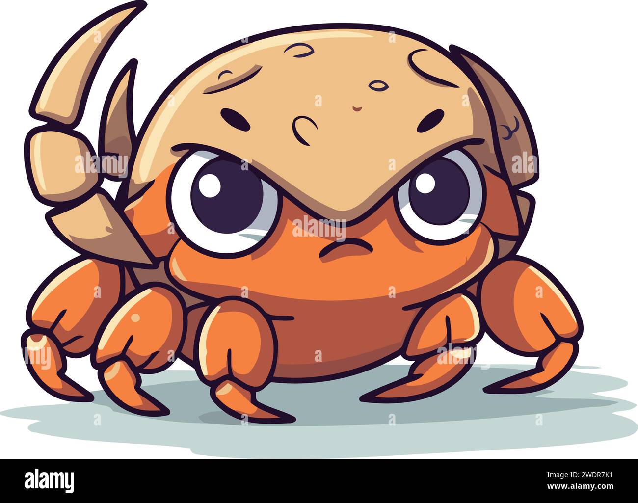 Little white crab Stock Vector Images - Alamy