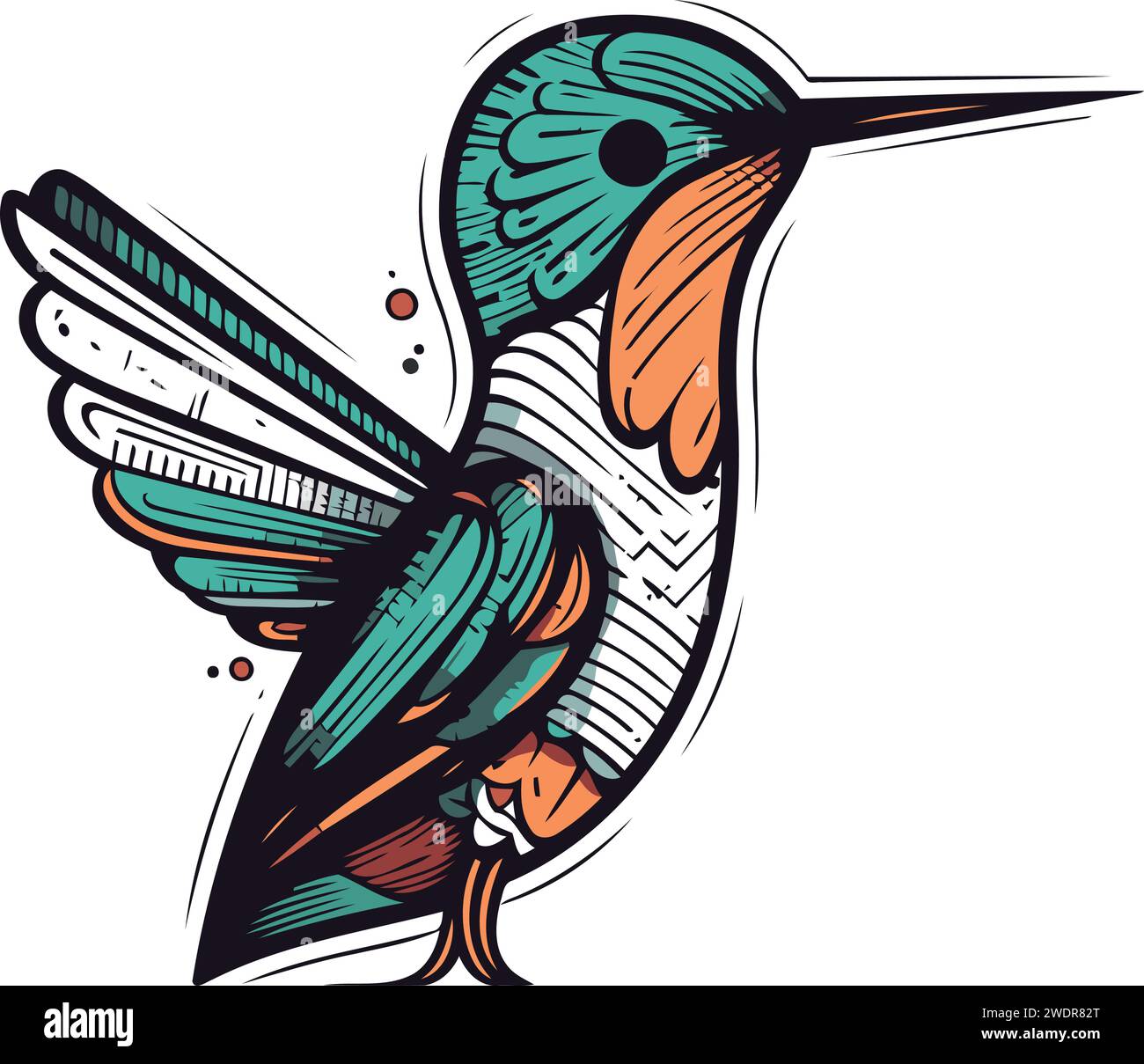Hummingbird Vector Illustration Hand Drawn Doodle Bird Stock Vector Image And Art Alamy