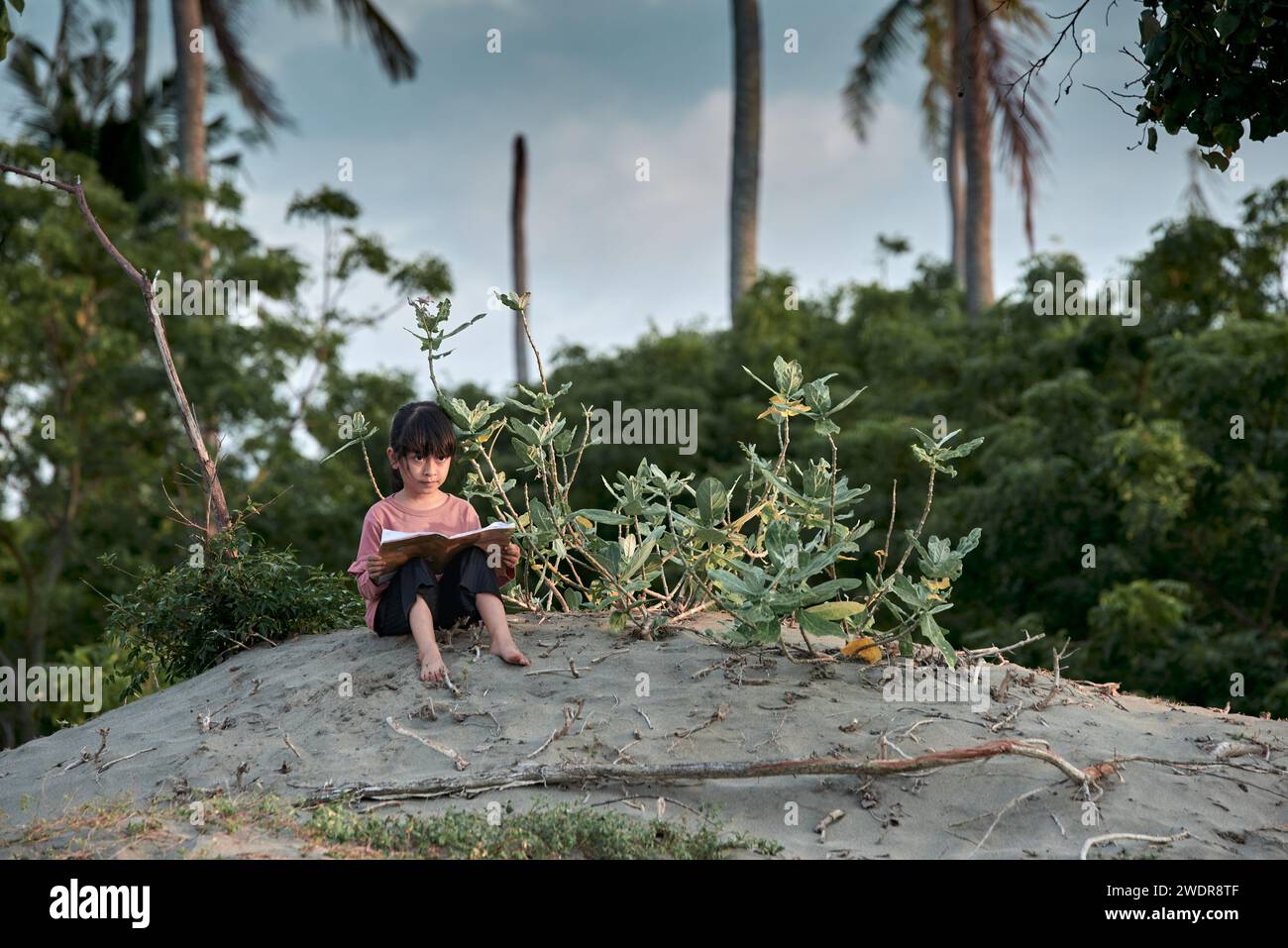 A cute little girl sits under a tree reading a book in the tropical ...