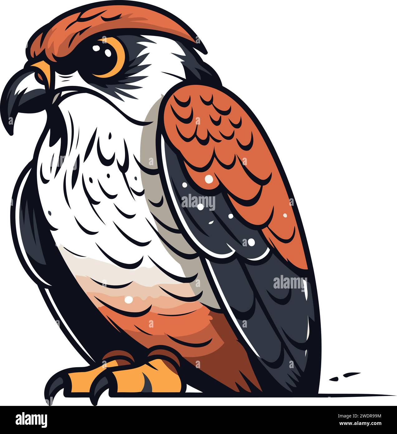 A hawk Stock Vector Images - Alamy