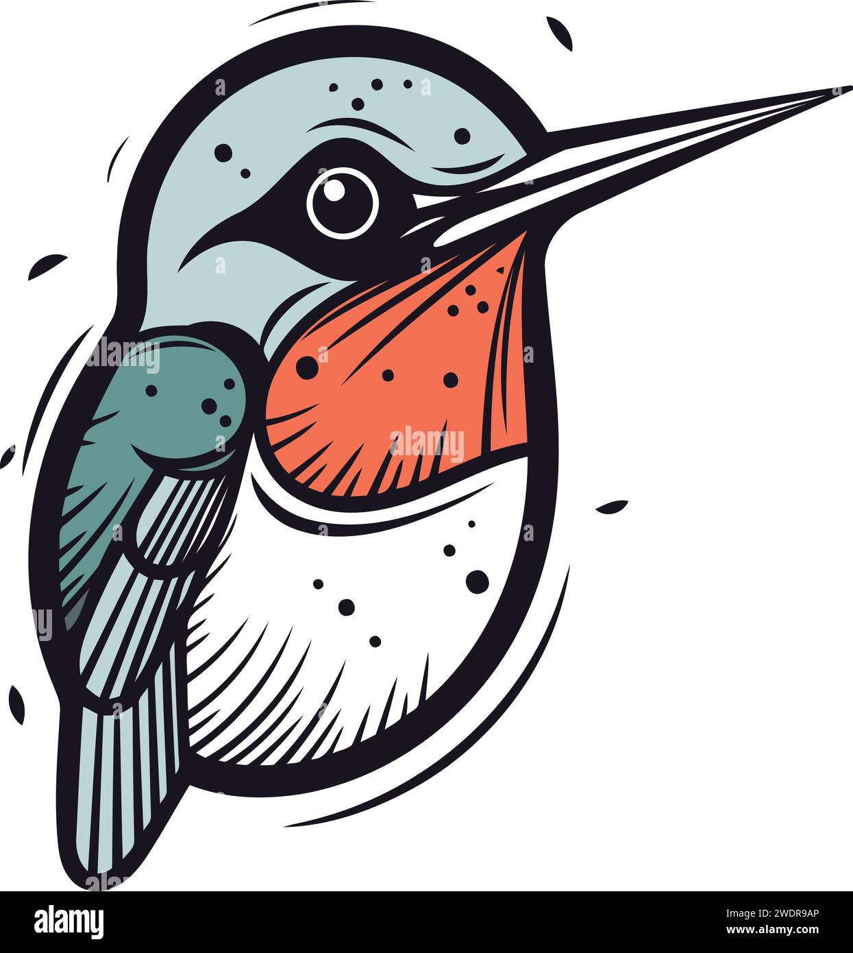 Hand drawn illustration kingfisher Stock Vector Images - Alamy