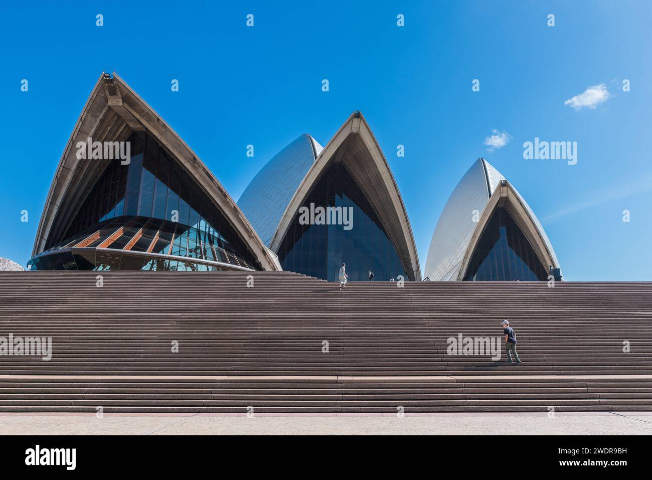 Young Tourists Ascending the Steps of the Sydney Opera House Stock ...