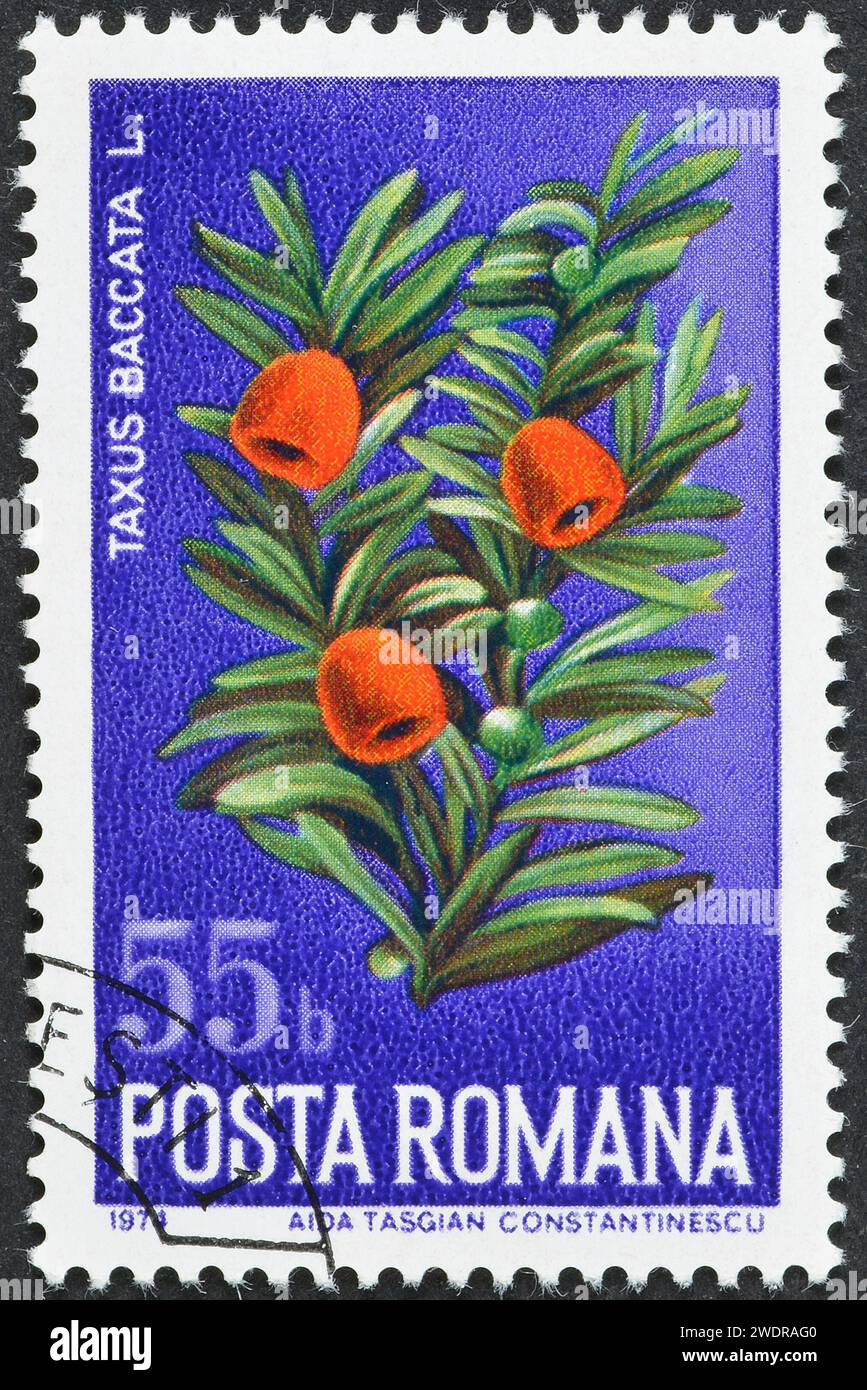 Paper vintage postage botany hi-res stock photography and images - Alamy