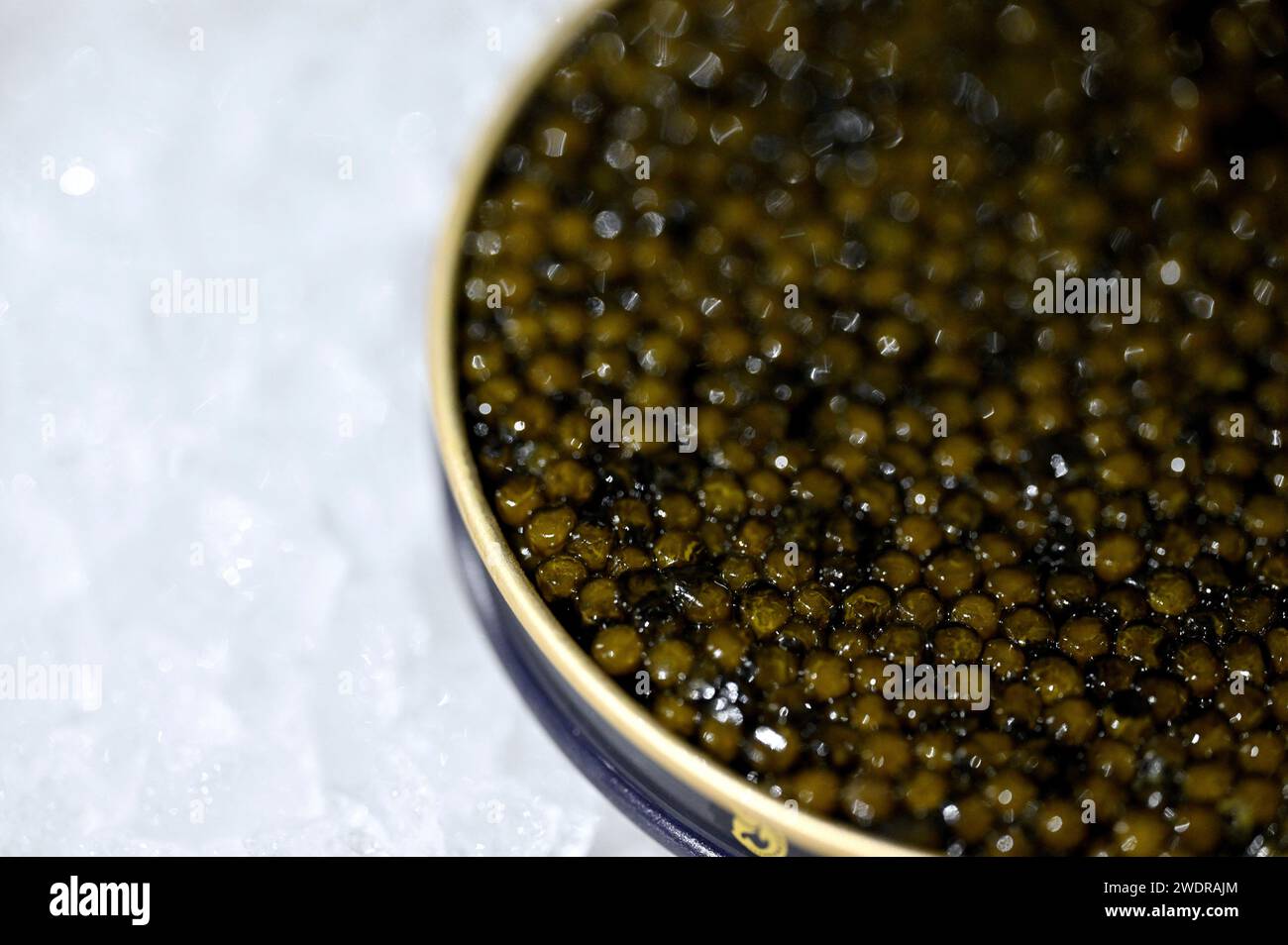 Nancy, France. 18th Jan, 2024. © PHOTOPQR/L'EST REPUBLICAIN/ ; Nancy ...