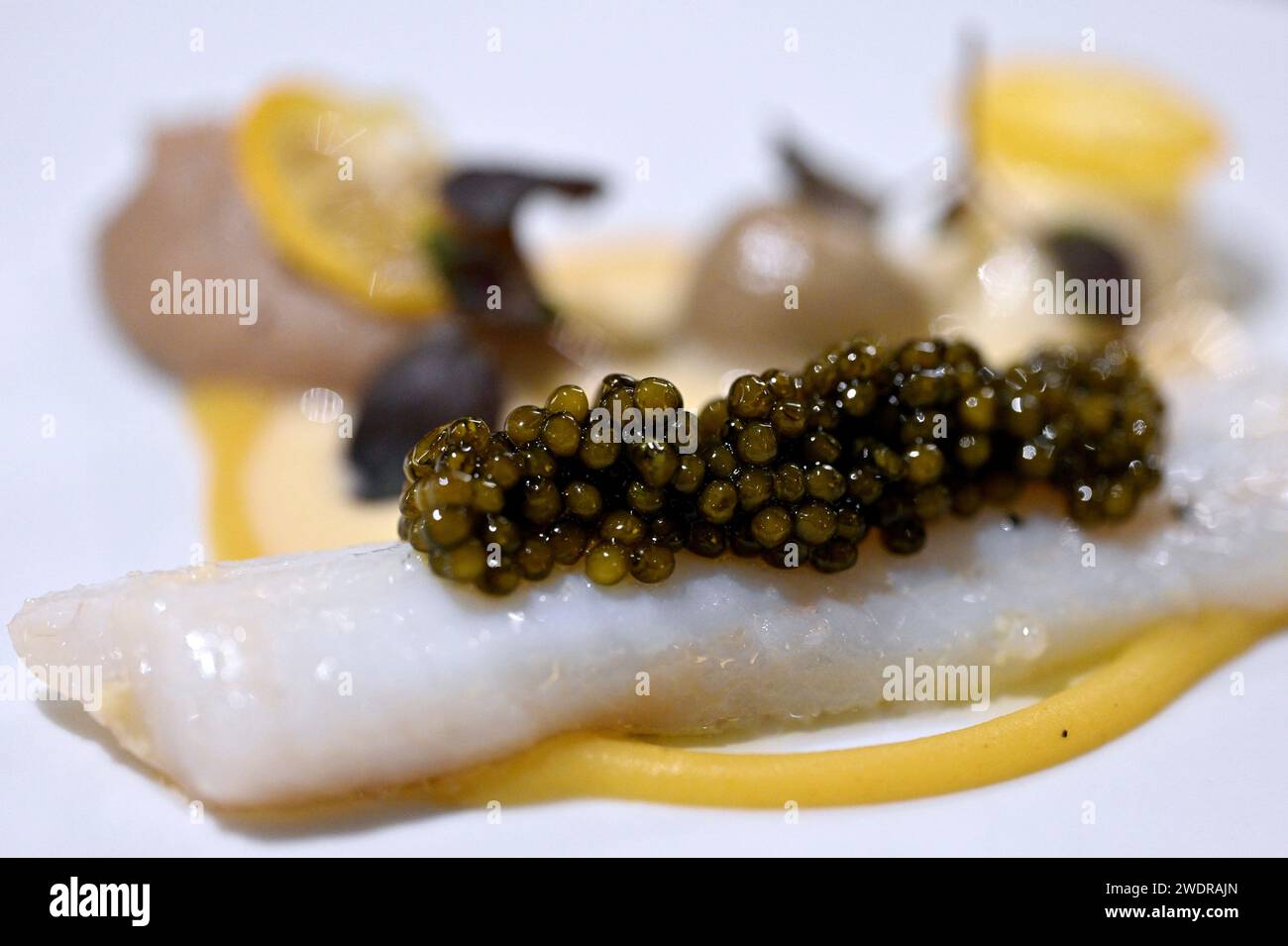 Nancy, France. 18th Jan, 2024. © PHOTOPQR/L'EST REPUBLICAIN/ ; Nancy ...