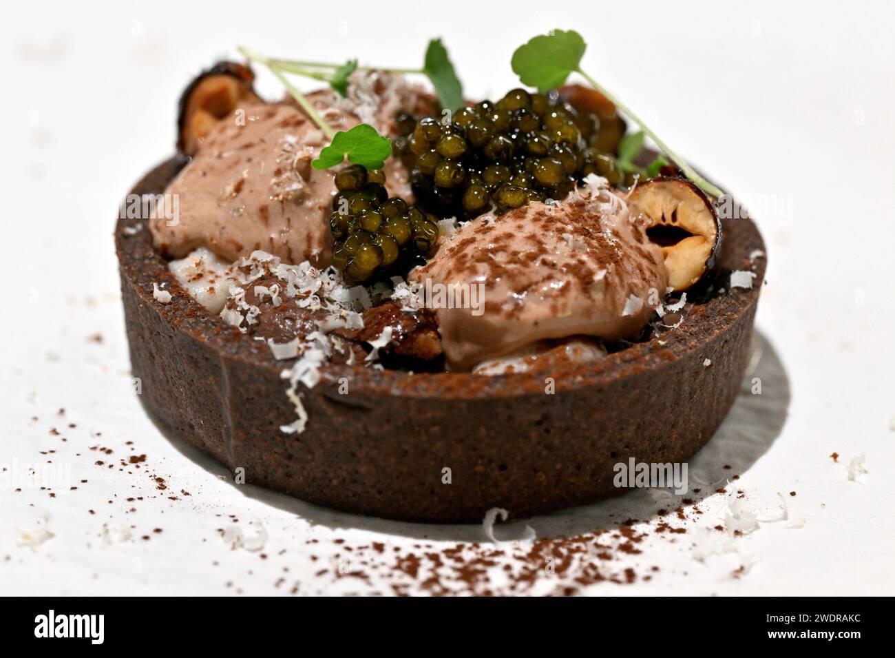 Nancy, France. 18th Jan, 2024. © PHOTOPQR/L'EST REPUBLICAIN/ ; Nancy ...