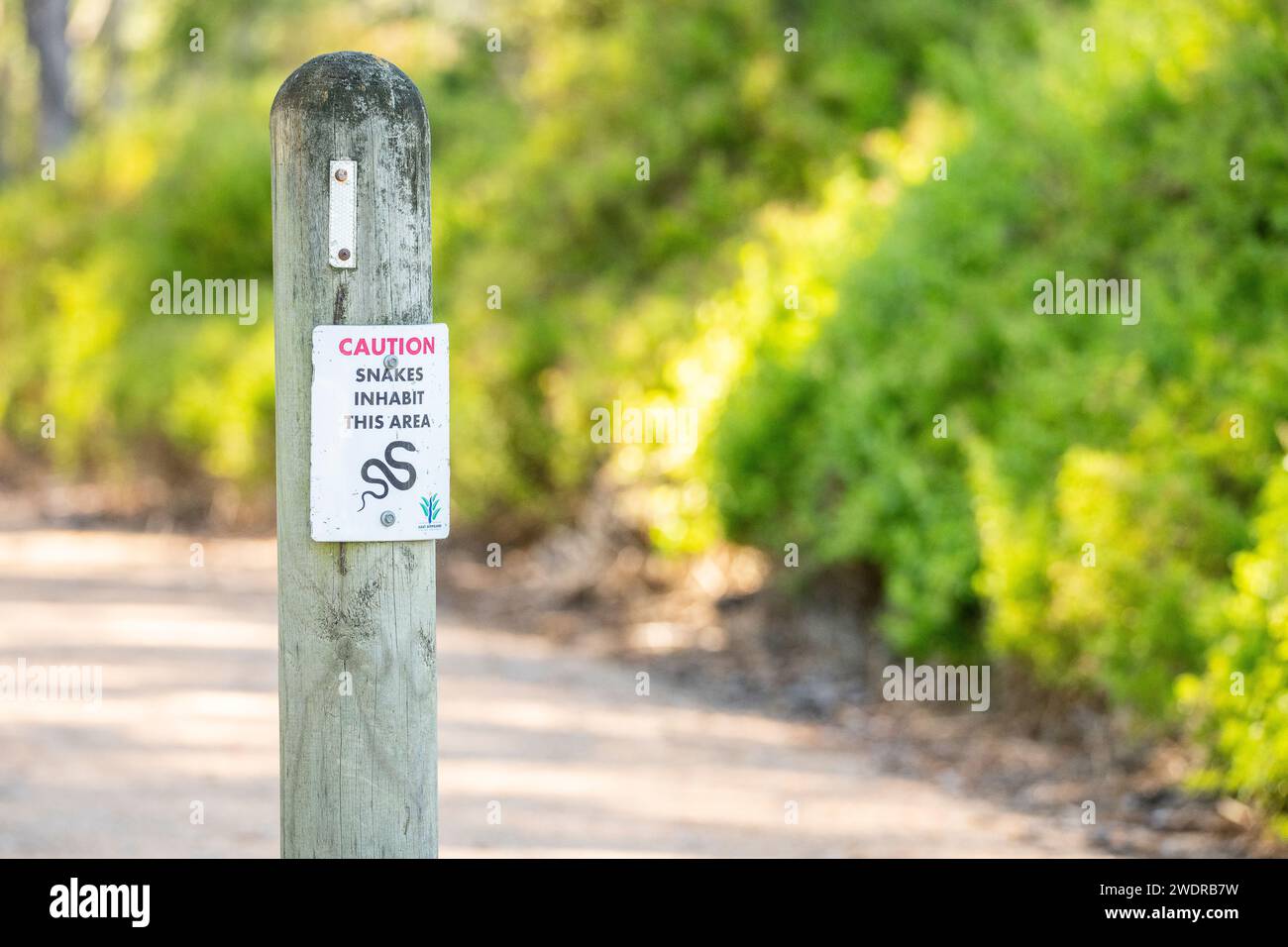 Beware the Serpents: Venomous Snake Warning on Australian Hiking Trail ...