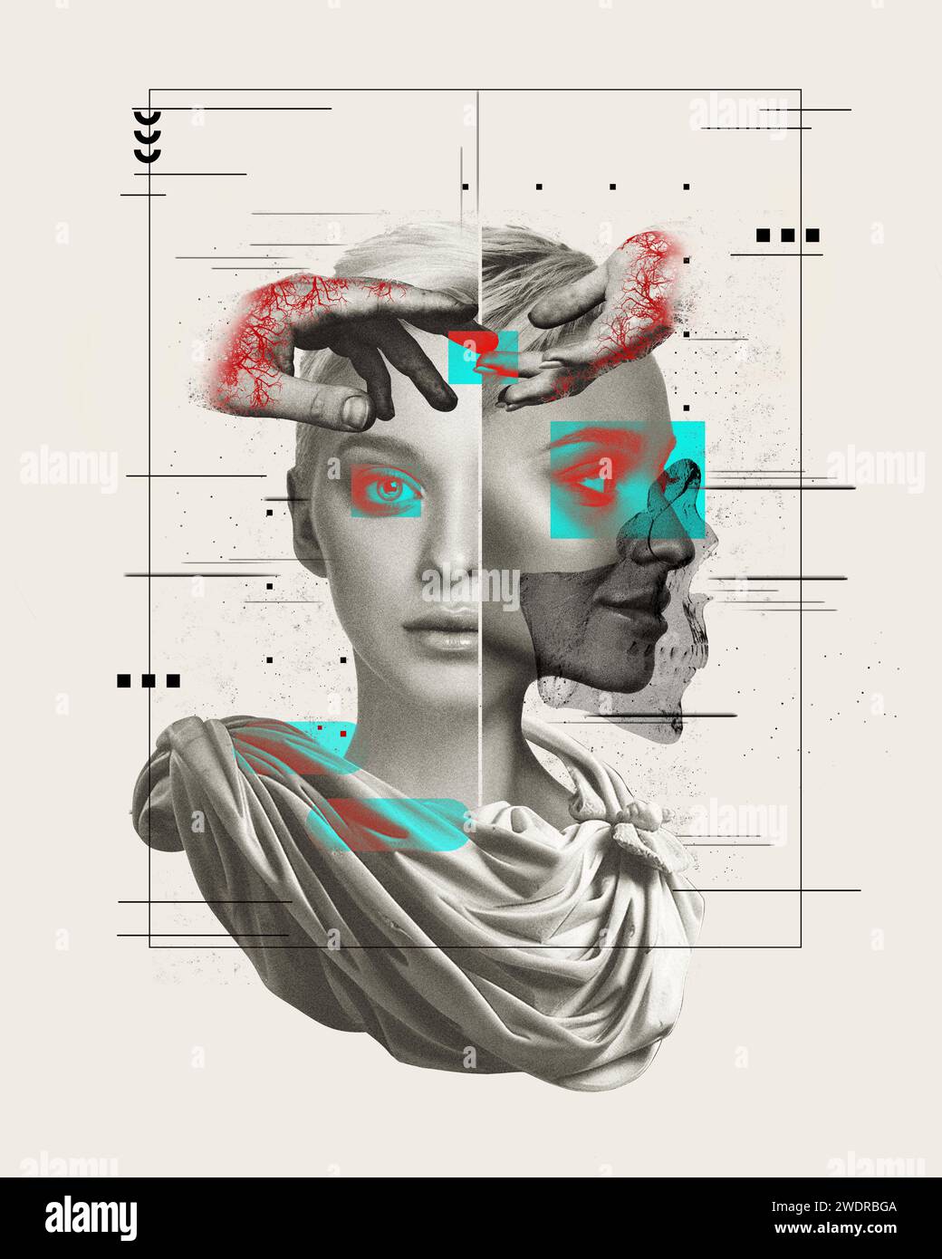 Graphic for an educational course on the anatomy of the brain and ...