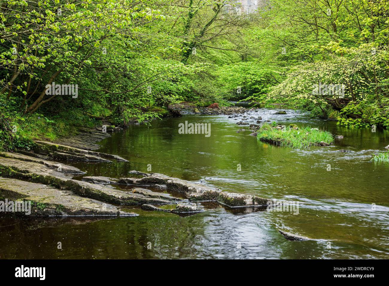 The Water of Leith river flowing through city of Edinburgh in Scotland ...