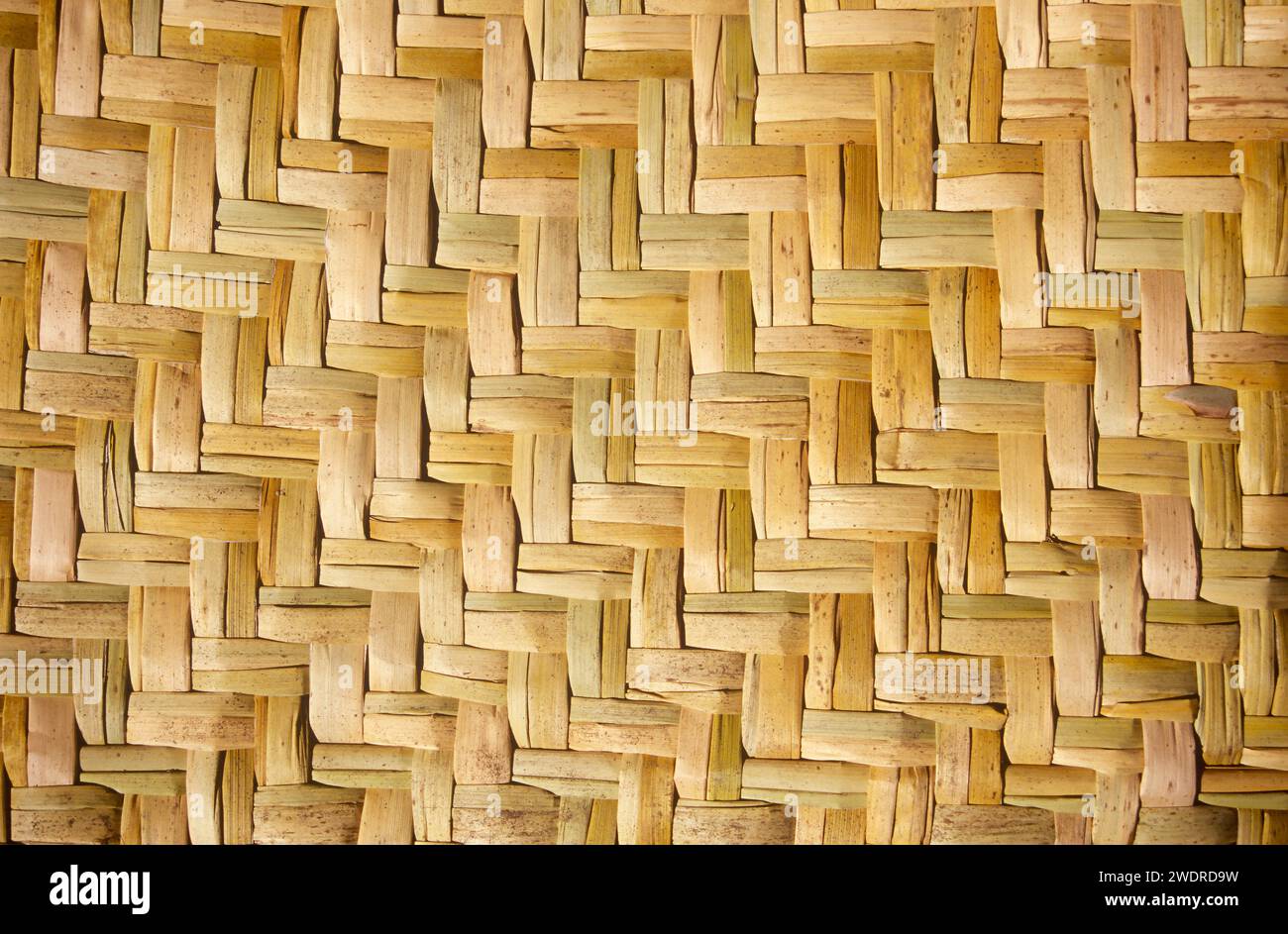 Weiving of plants, Ecuador Stock Photo - Alamy