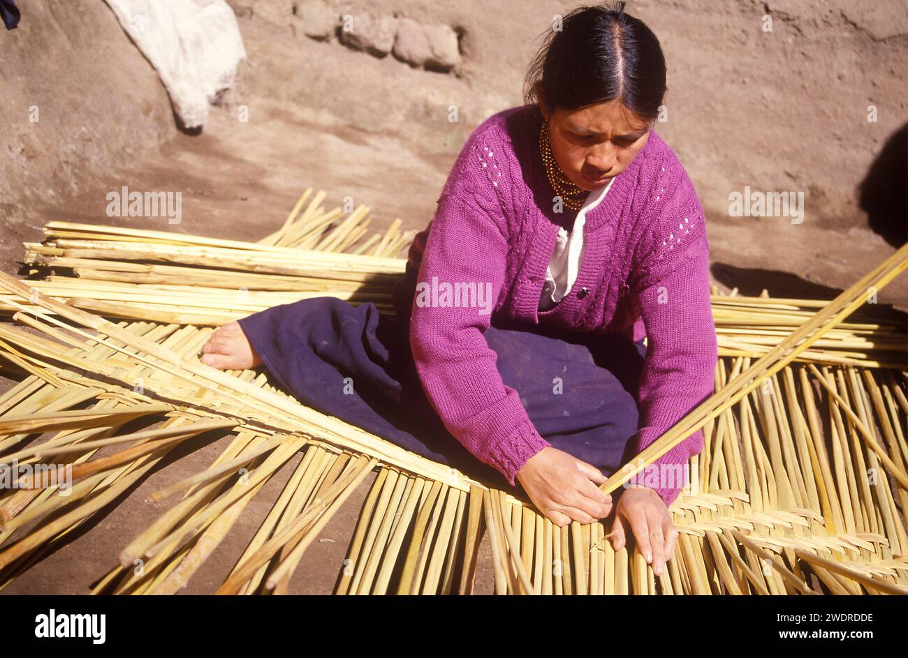Indian woman weiving plants Stock Photo - Alamy