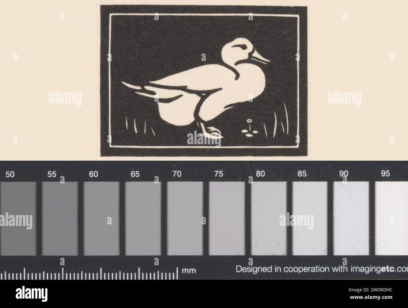 Duck, Julie de Graag, 1923 - 1924 print Print on an unadulterated leaf ...