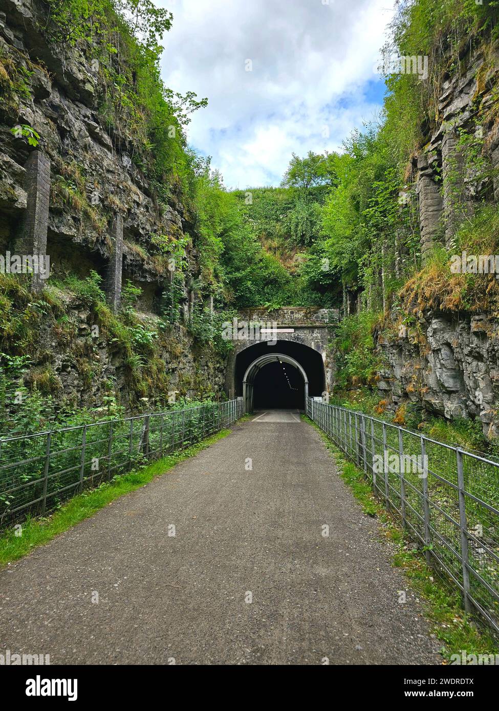 A scenic tunnel framed by imposing rock formations and trees Stock ...
