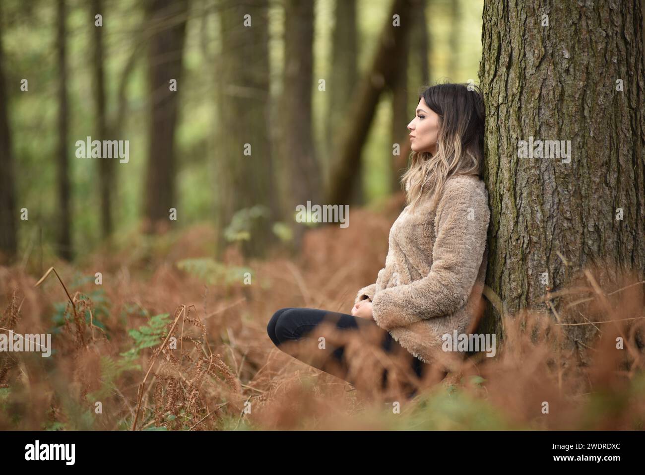 A young woman leaning on a tree in a lush forest Stock Photo - Alamy