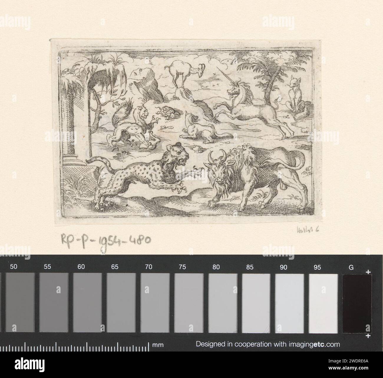 Mythical turtles hi-res stock photography and images - Alamy