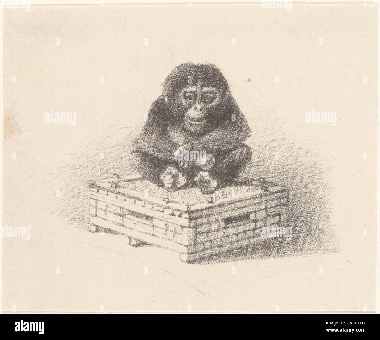 Seated monkey on Kist, Theo van Hoytema, 1878 - 1890 print A monkey is ...