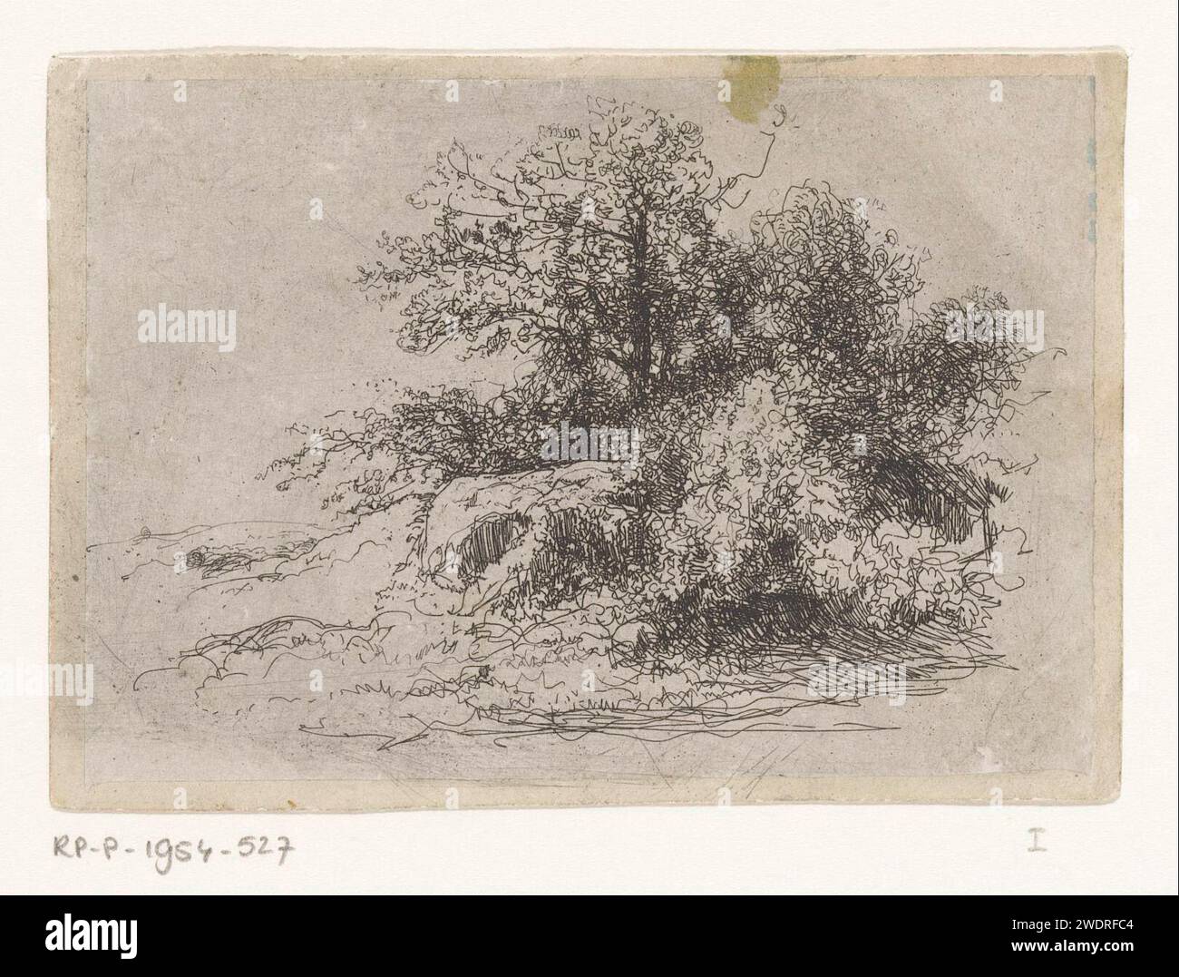 Struikgewas, Jean Alexis Achard, 1817 - 1884 print France paper etching ...