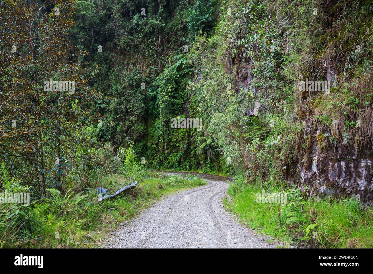 Famous death road, the "Camino de la Muerte", in the Bolivian Andes ...