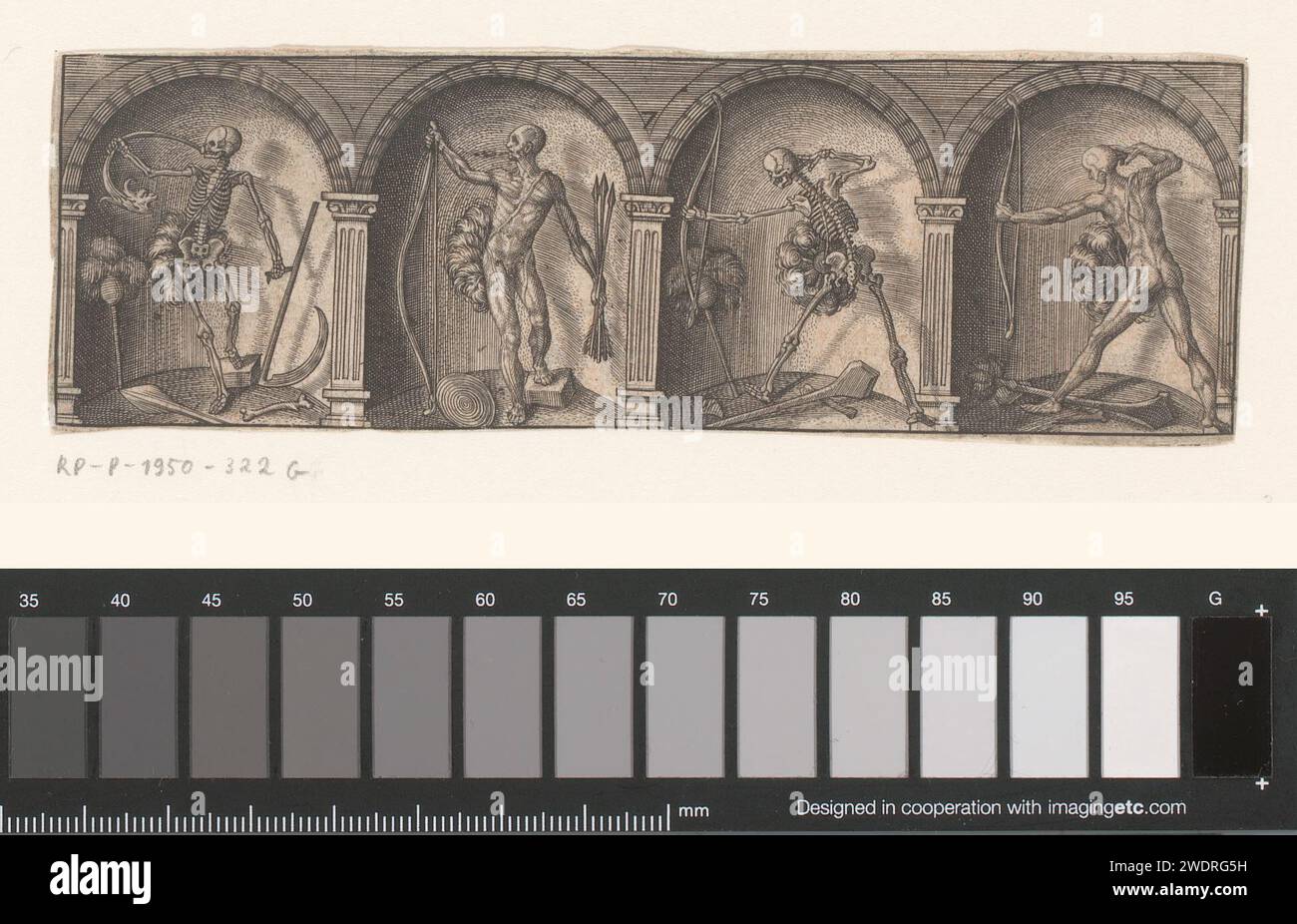 Stages of decomposition hi-res stock photography and images - Alamy