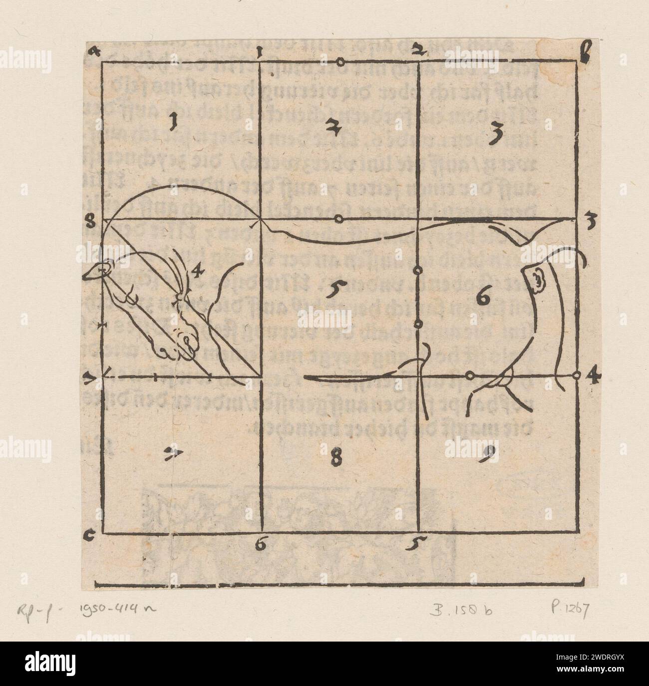 Model for a horse with grid, Anonymous, Hans Sebald Beham, 1565 print ...