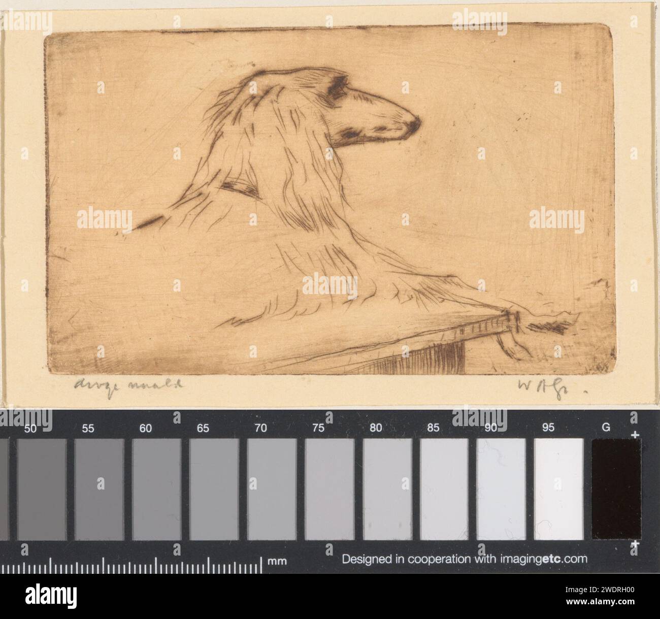 Afghan Great, Willem Adrianus Grondhout, 1888 - 1934 print paper ...