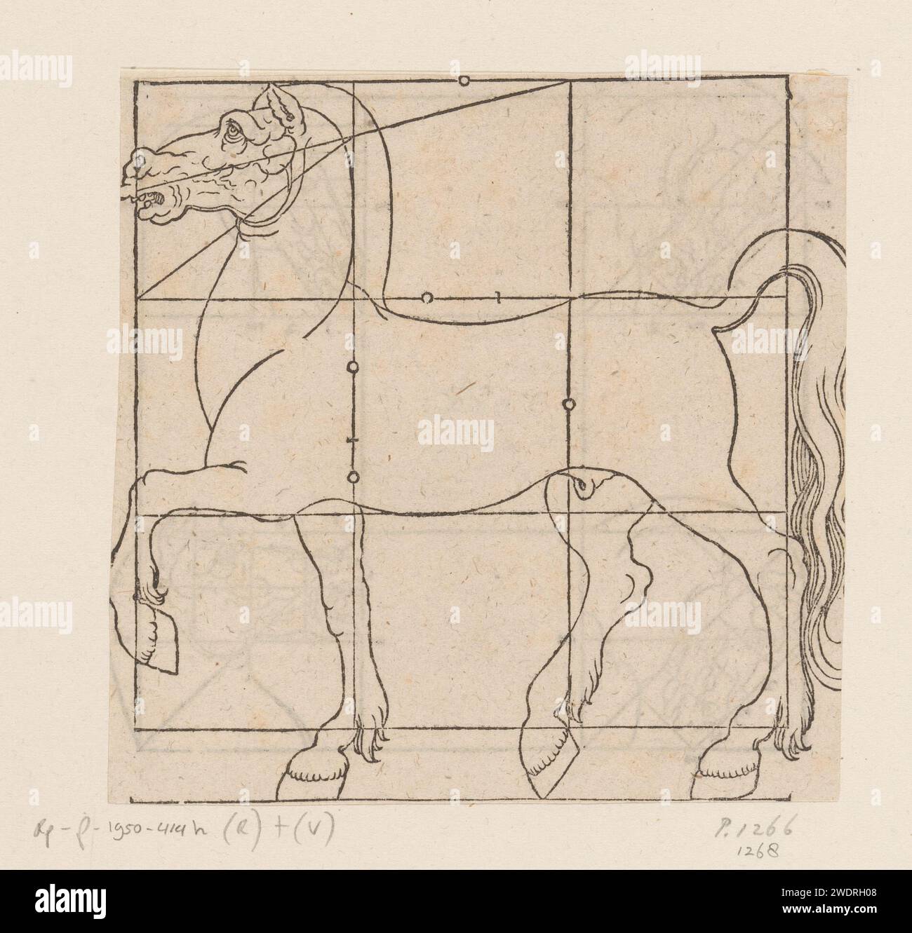 Model for a horse with grid, Anonymous, Hans Sebald Beham, 1565 print ...