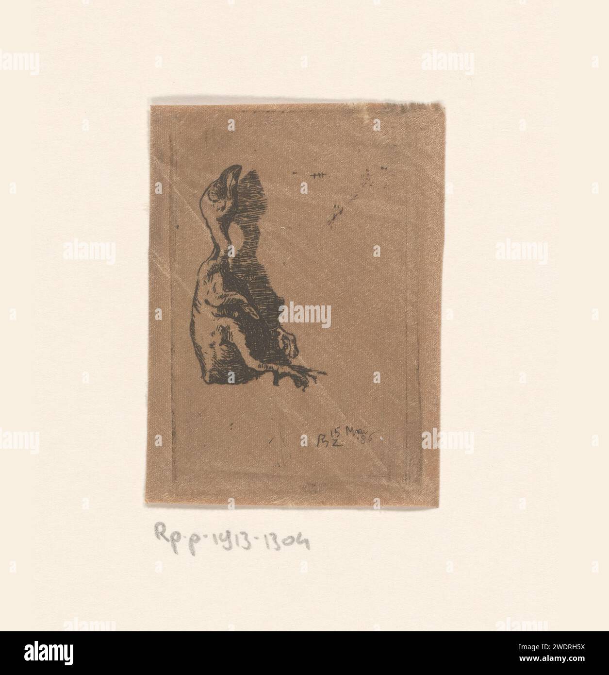 Small Dode Vogel, Philip Zilcken, 1886 print silk etching birds Stock ...