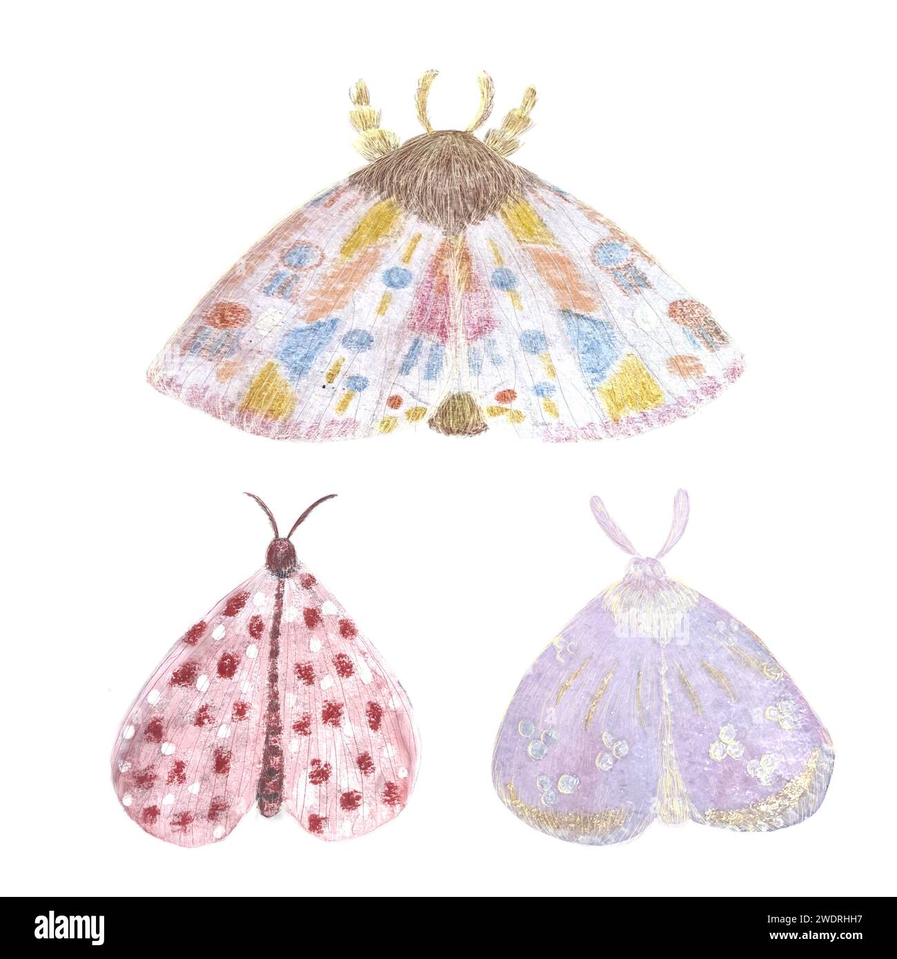 Hand painted watercolor delicate pink moth set isolated on white Stock ...