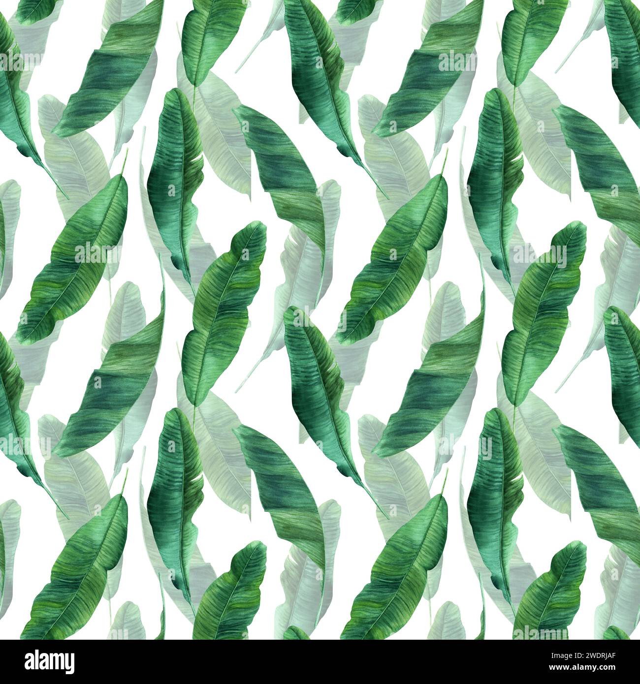 Watercolor seamless pattern with banana tree leaves. Hand drawn ...