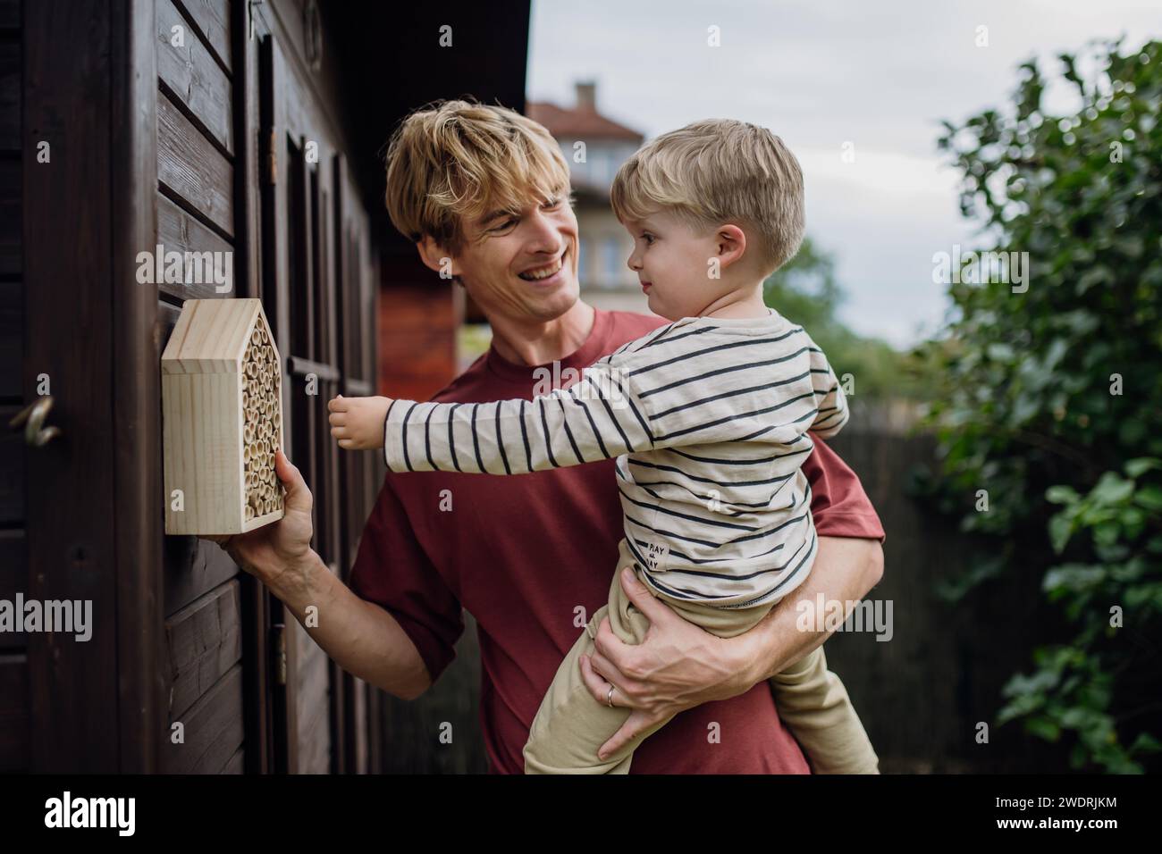 Father with little boy making bug hotel, or insect house outdoors in ...