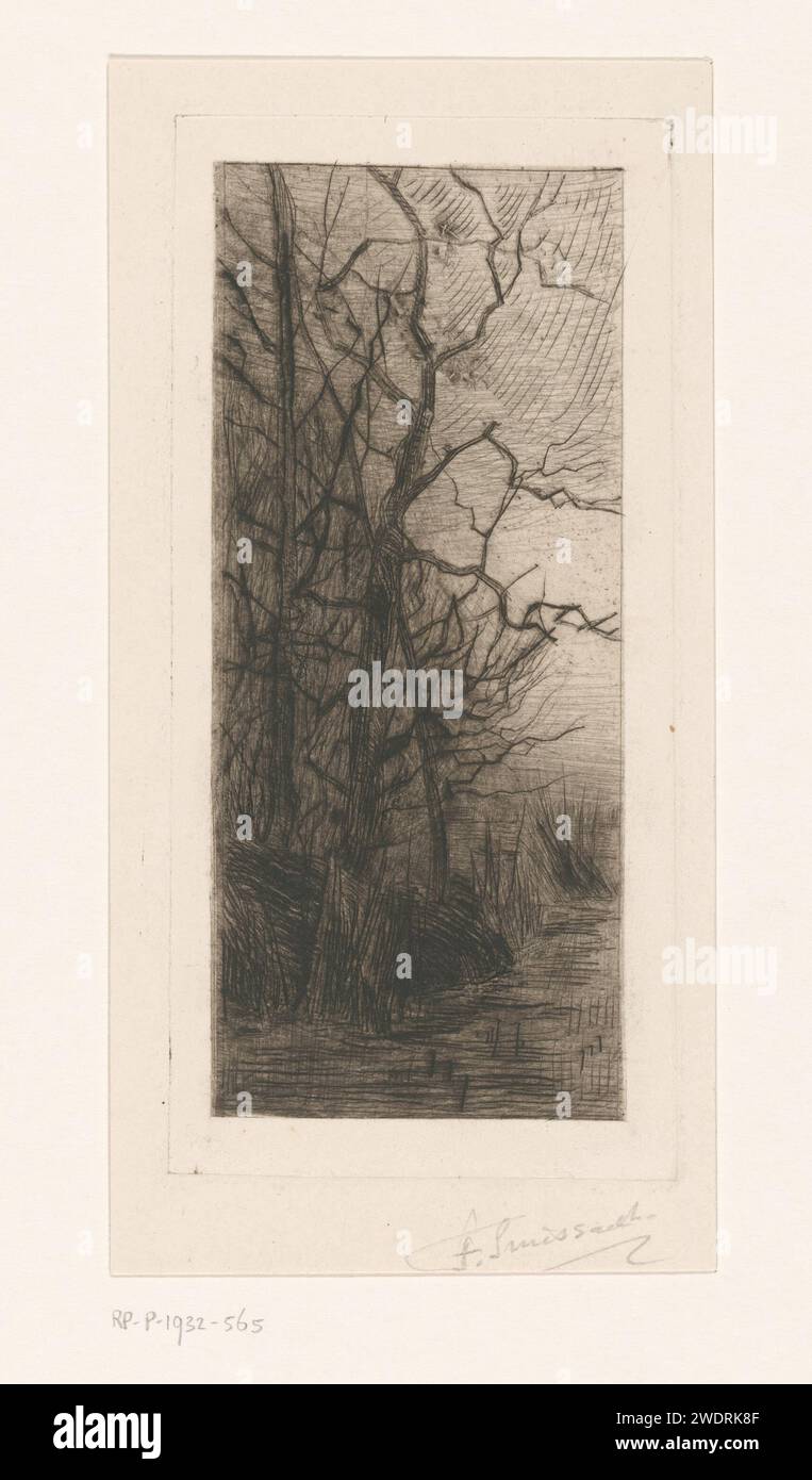Trees on the water, Frans Smissaert, 1872 - 1932 print Netherlands ...
