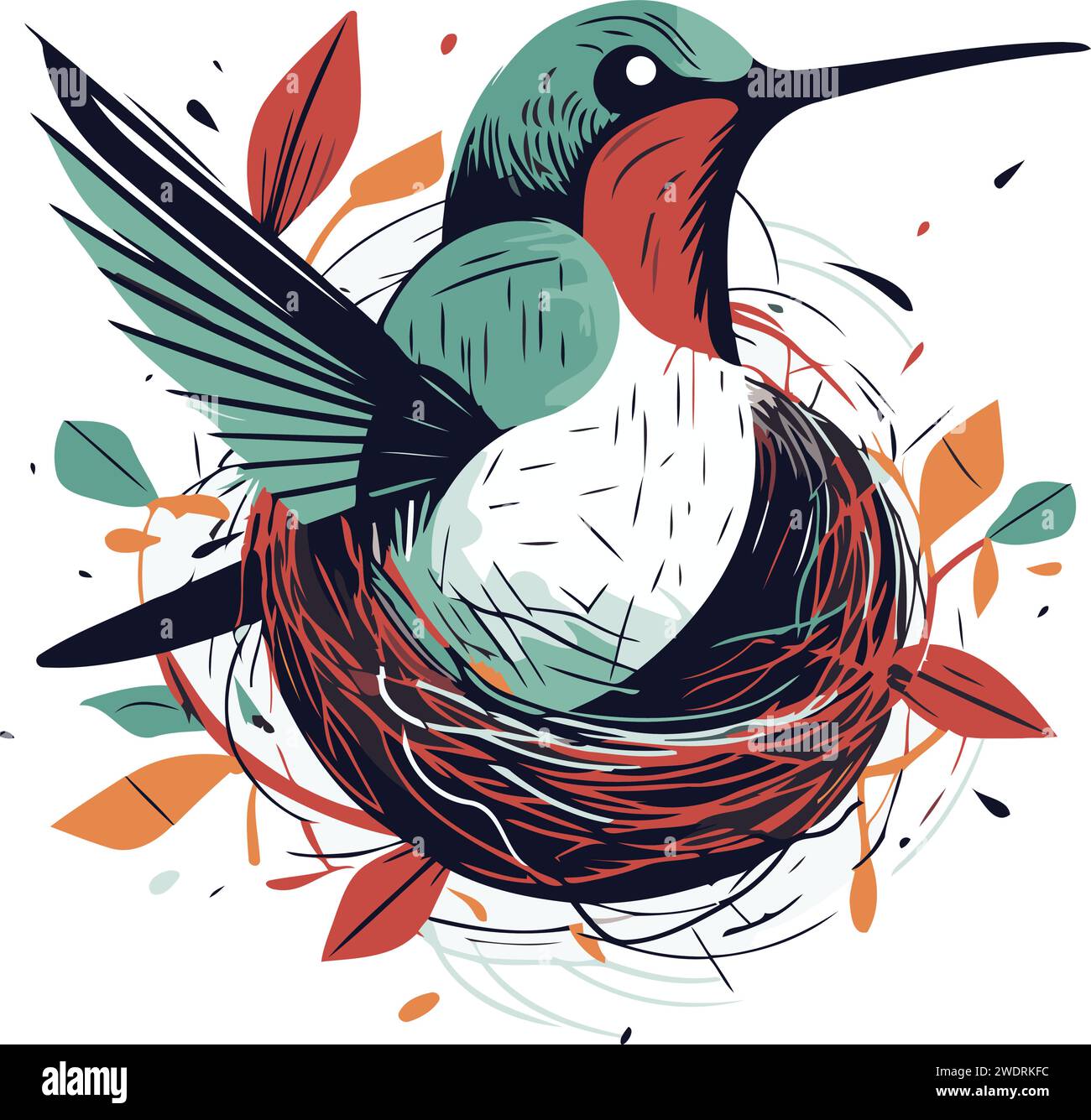 Hummingbird in the nest. Vector illustration on white background Stock ...