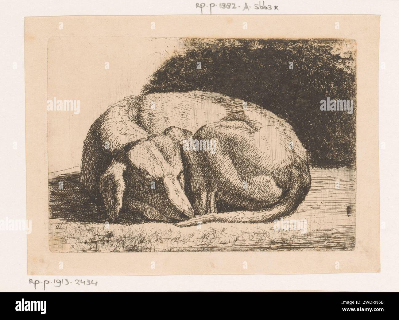 Sleeping Dog, Hendrik Jozef Franciscus van der Poorten, 1842 print ...
