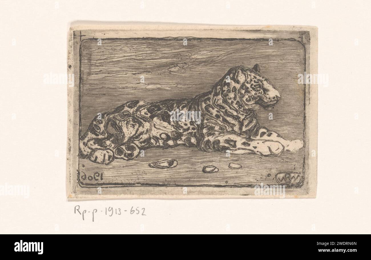 Lying Panther, Bernard Willem Wierink, 1906 print paper etching ...