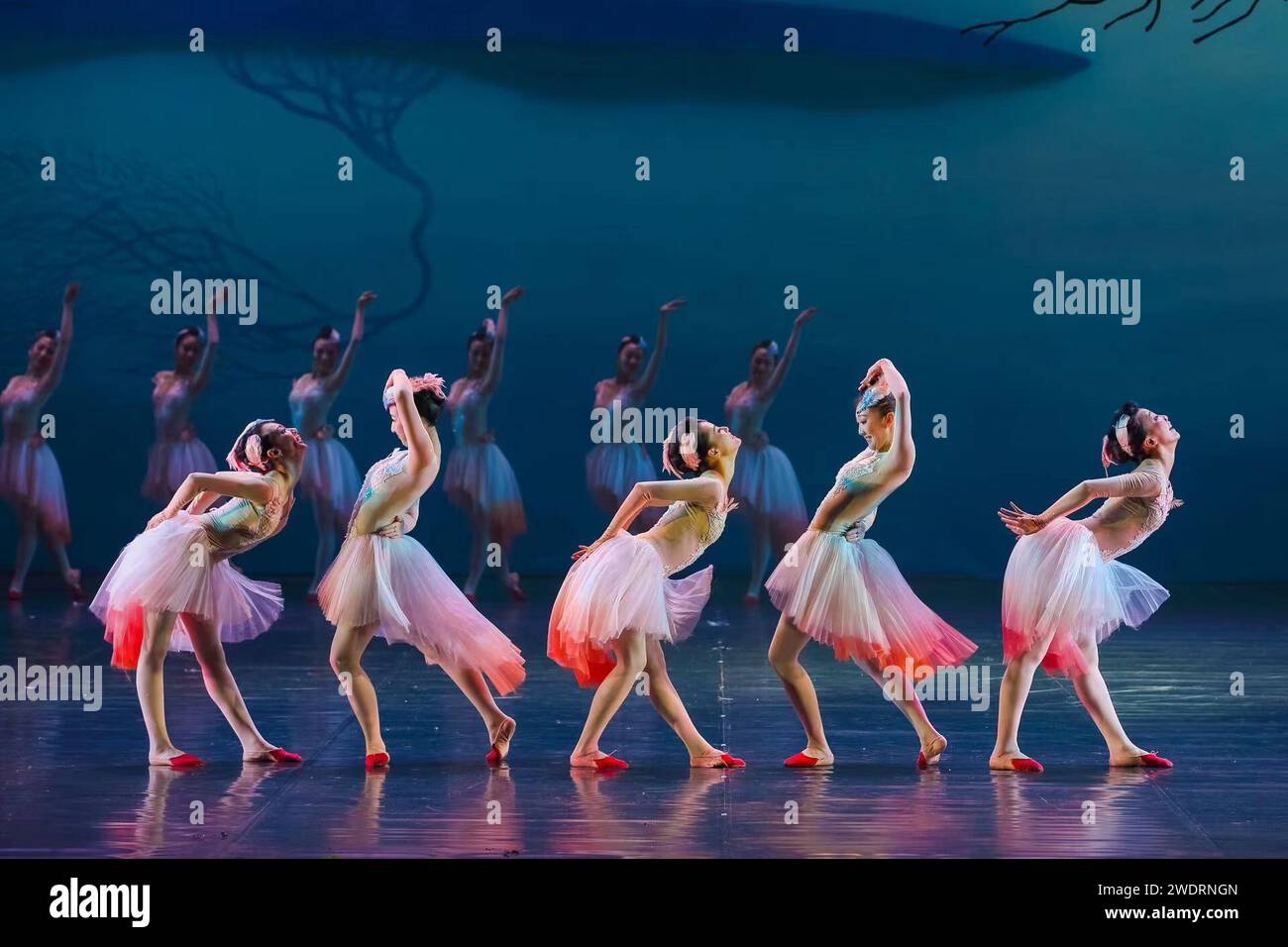 Xi'an. 22nd Jan, 2024. Dancers perform at the Shaanxi Opera House in Xi ...