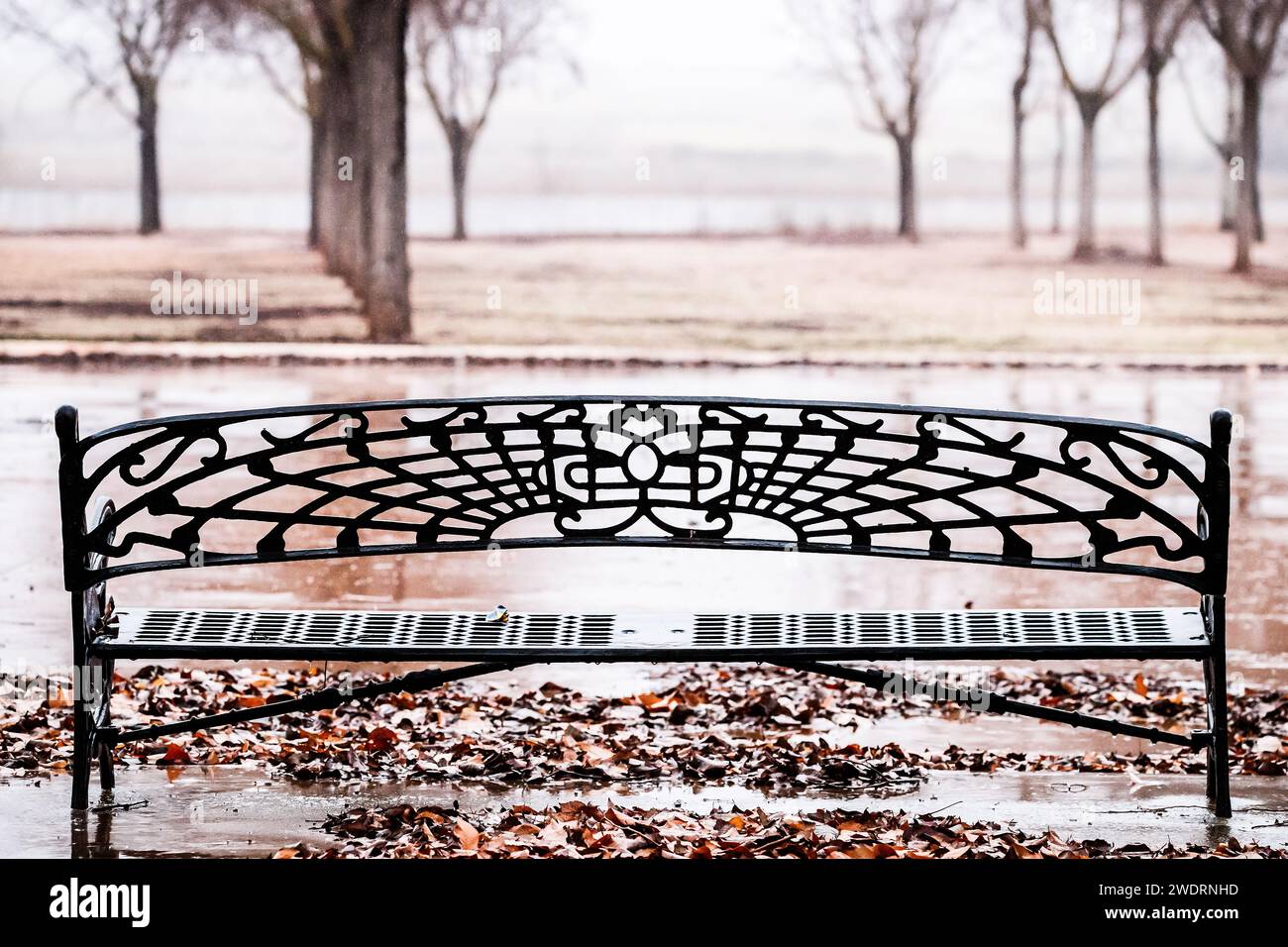 Wood bench water drops hi-res stock photography and images - Alamy