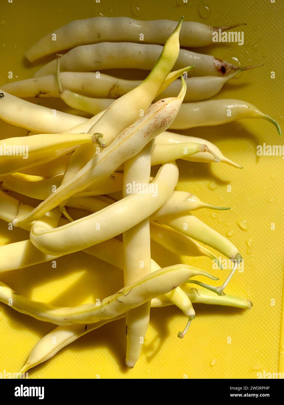 Vegetables and yellow light hi-res stock photography and images - Alamy