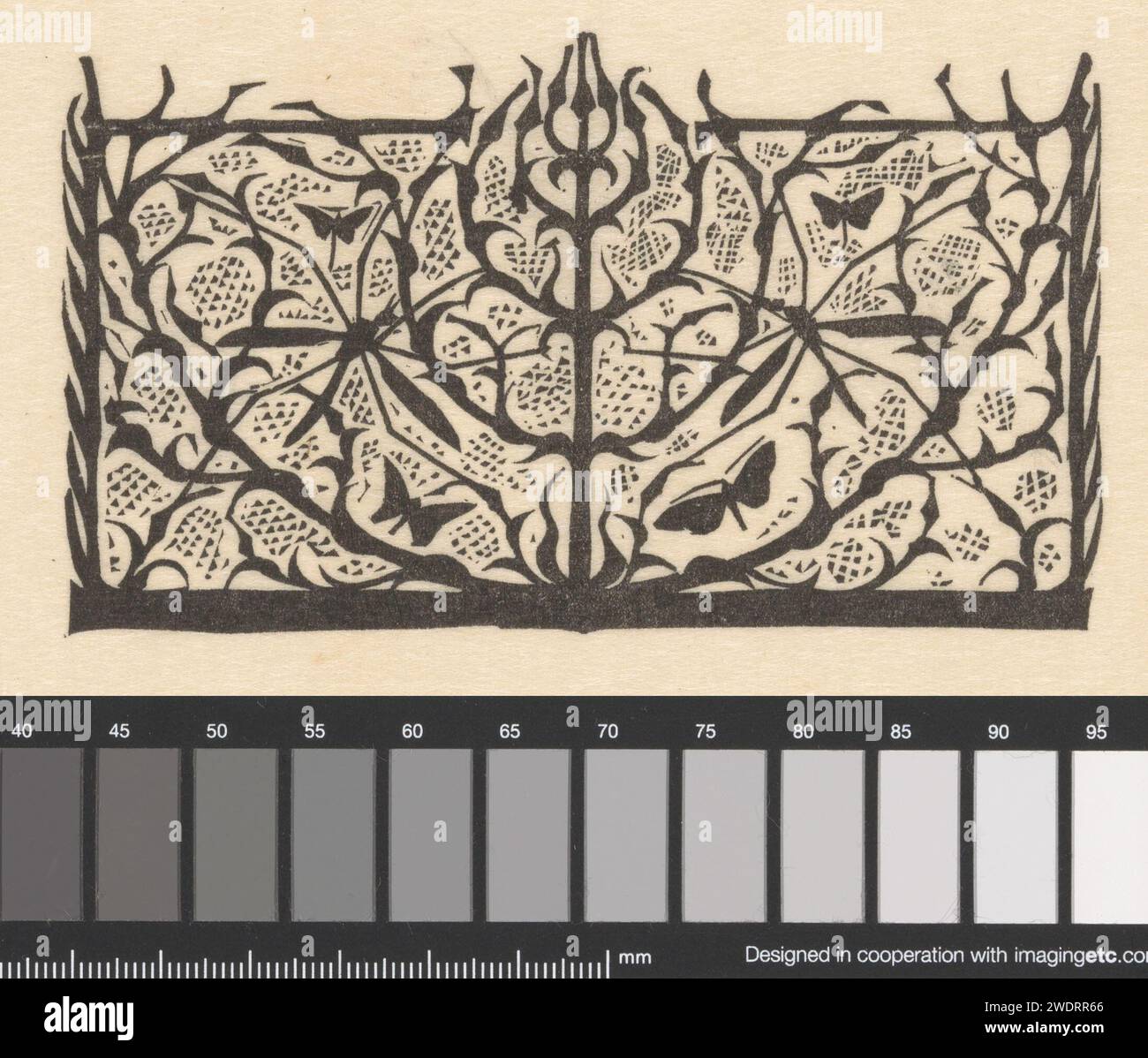 Title head with long -legs mosquitoes and moths, Gerrit Willem ...