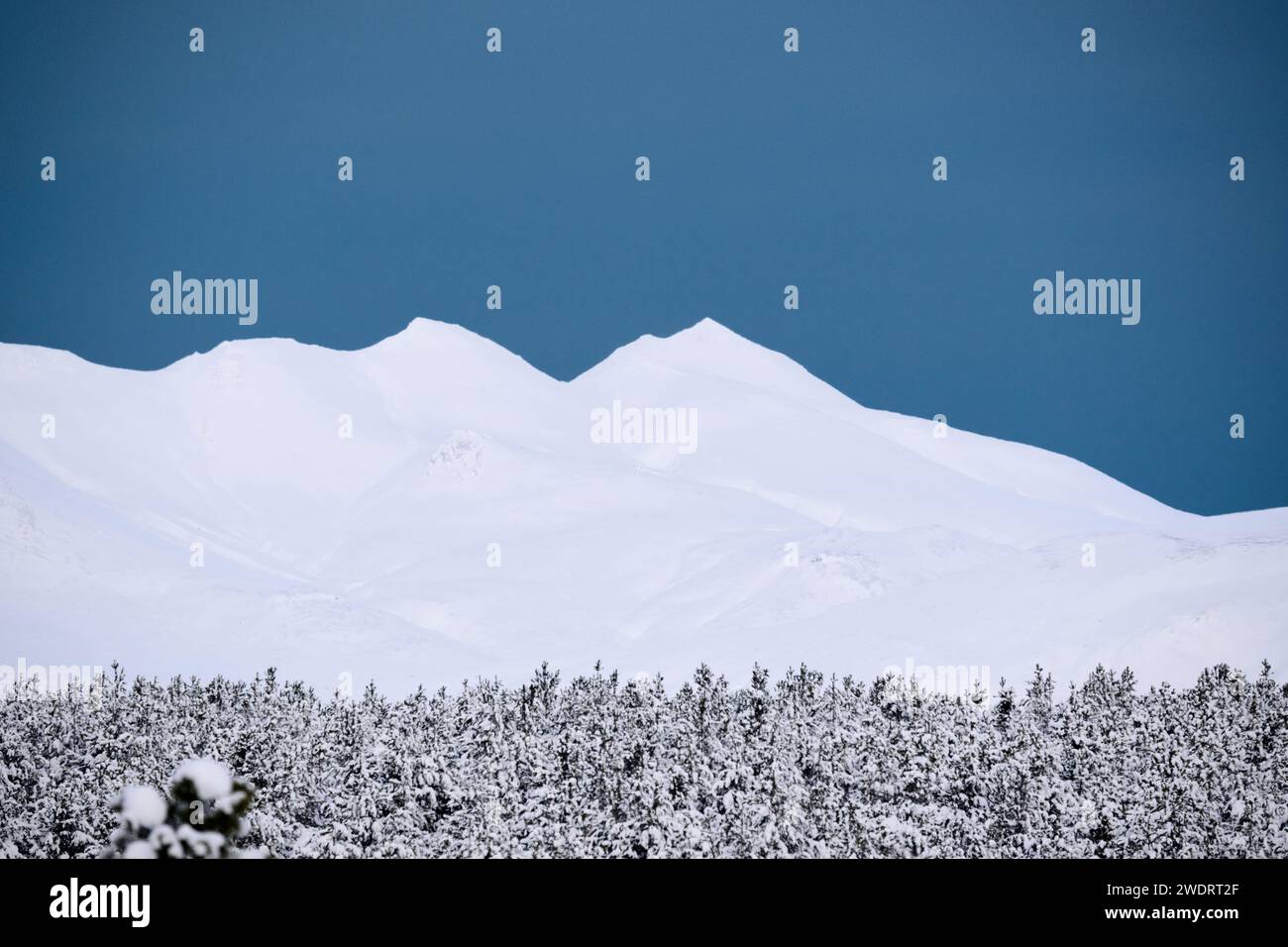 Frozen snowy mountain range with trees Stock Photo - Alamy