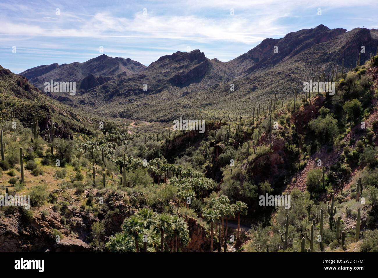 Mountainous landscape distant path palm trees and foliage Stock Photo ...