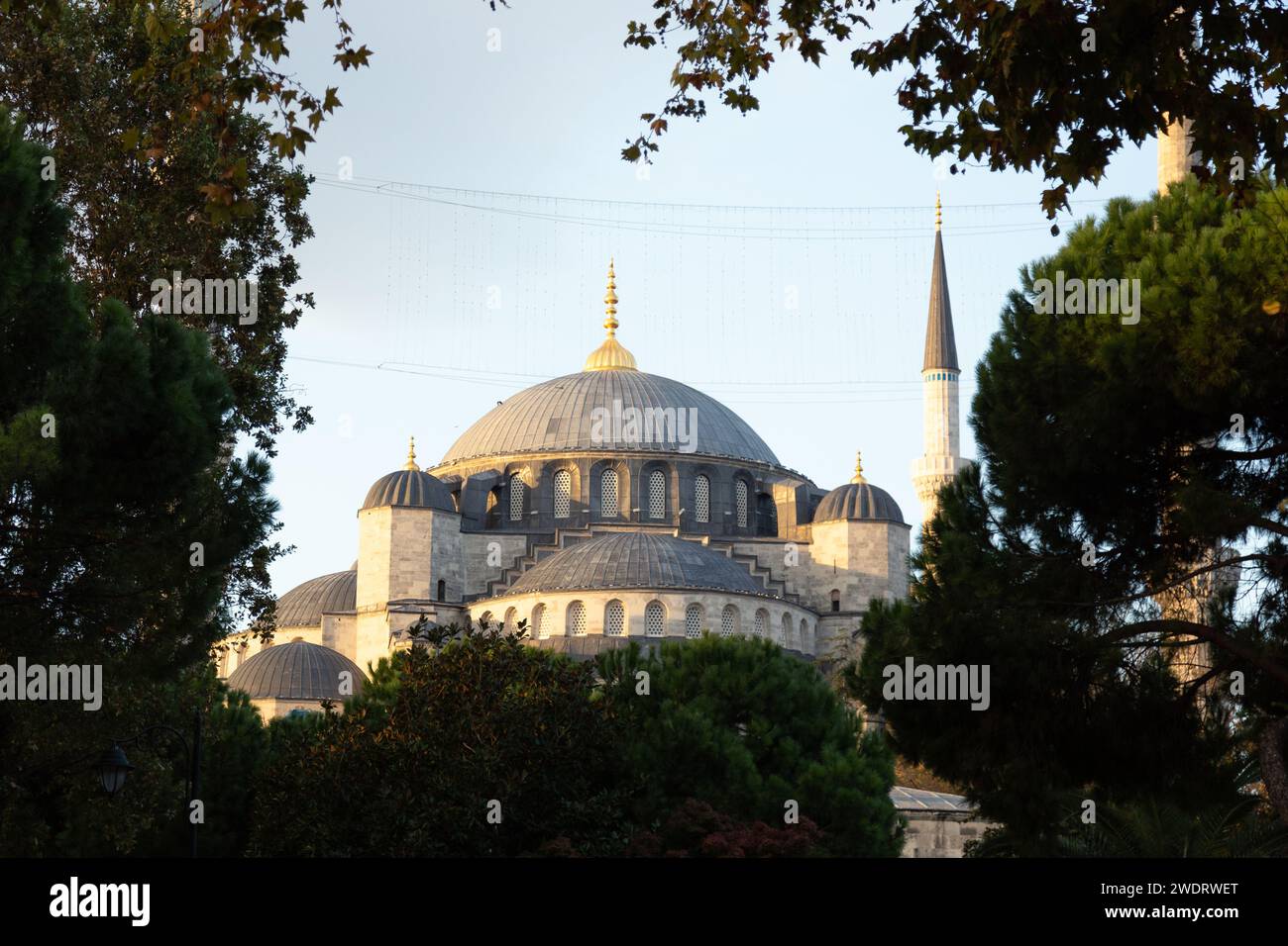 Blue Mosque between green trees, Istanbul Stock Photo - Alamy