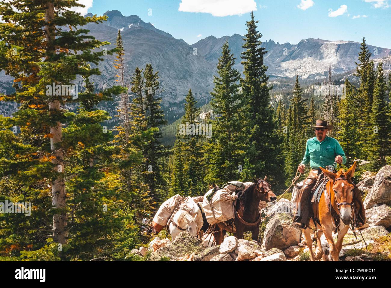 Cowboy riding horse pack horse hi-res stock photography and images - Alamy