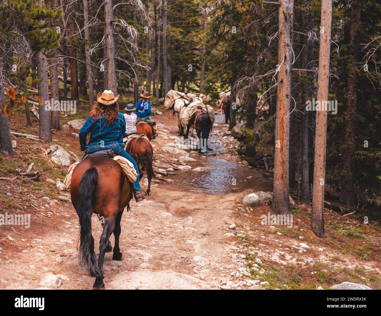 Cowboy riding horse pack horse hi-res stock photography and images - Alamy