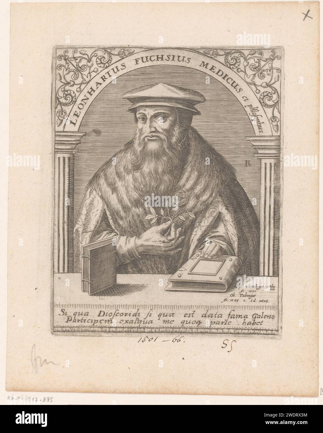 Leonhart fuchs hi-res stock photography and images - Alamy