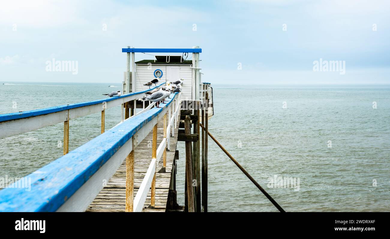 Traditional fisherman hut on stilts with seagull birds and carrelet ...