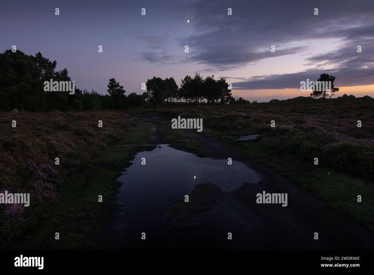 Twilight Landscape with a Reflective Water Puddle Stock Photo - Alamy