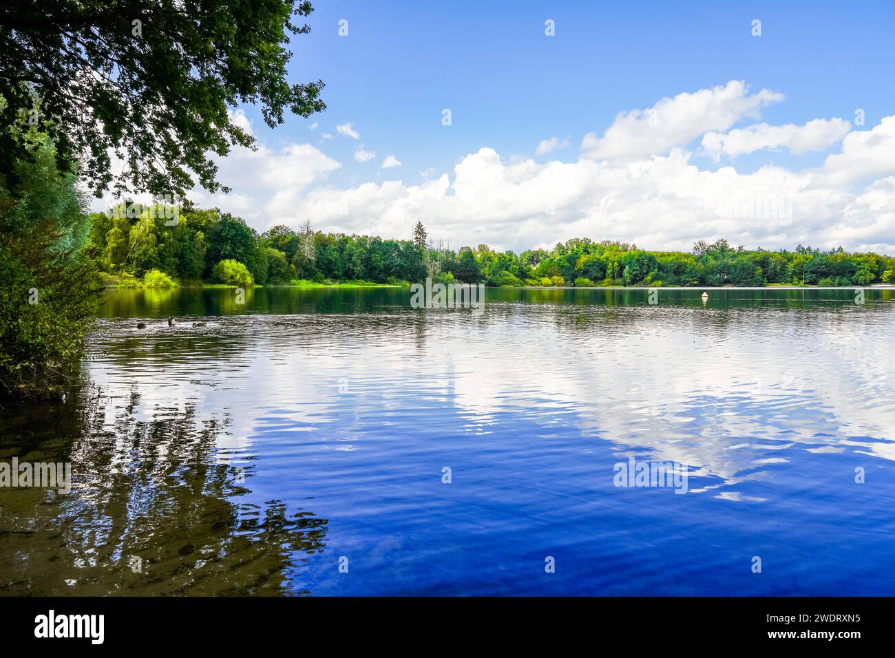 Nature at the Brucher Dam near Marienheide in North Rhine-Westphalia ...