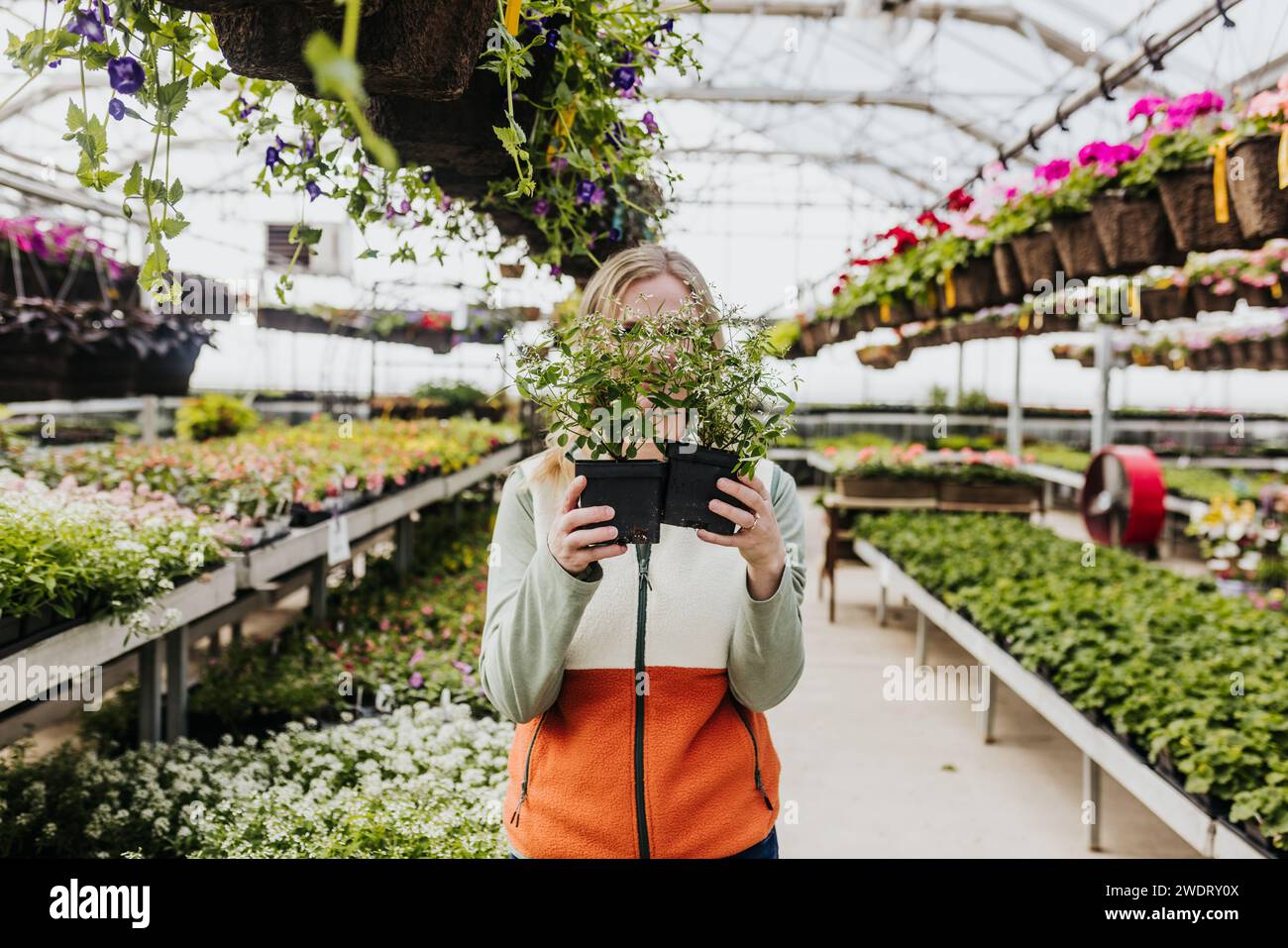 Woman holds blooming flowers in front of face at greenhouse Stock Photo ...