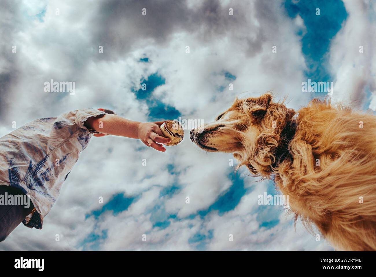 Boy handing dog a ball Stock Photo - Alamy